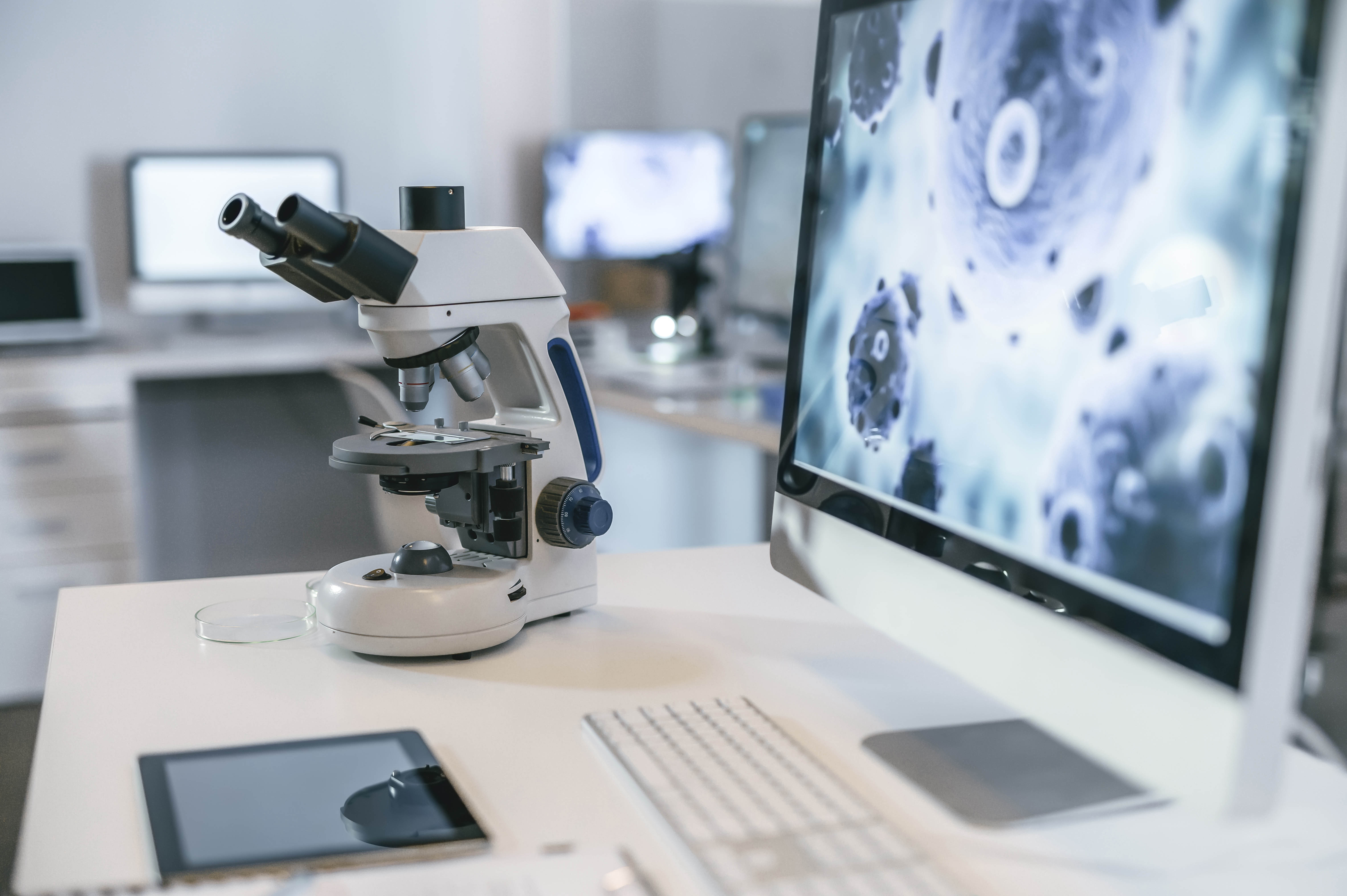 AI-Powered Digital Microscopy Solutions by ZEISS l Endava